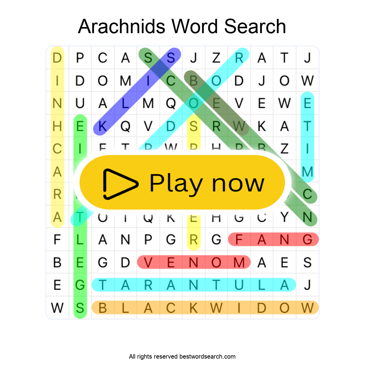 Arachnids | Animals Word Search