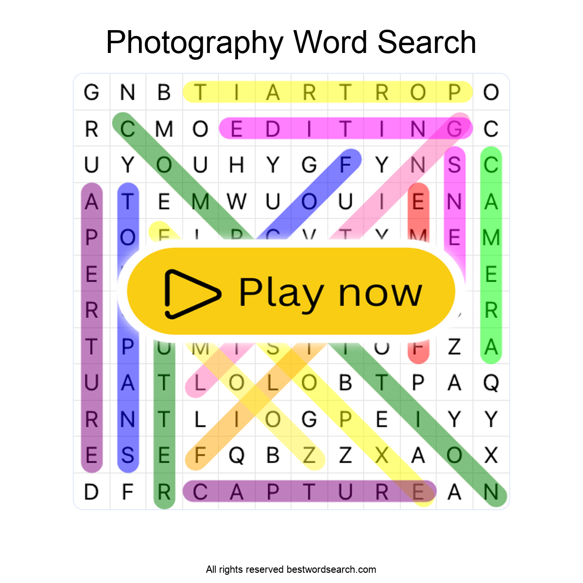 Photography | Arts and Culture Word Search