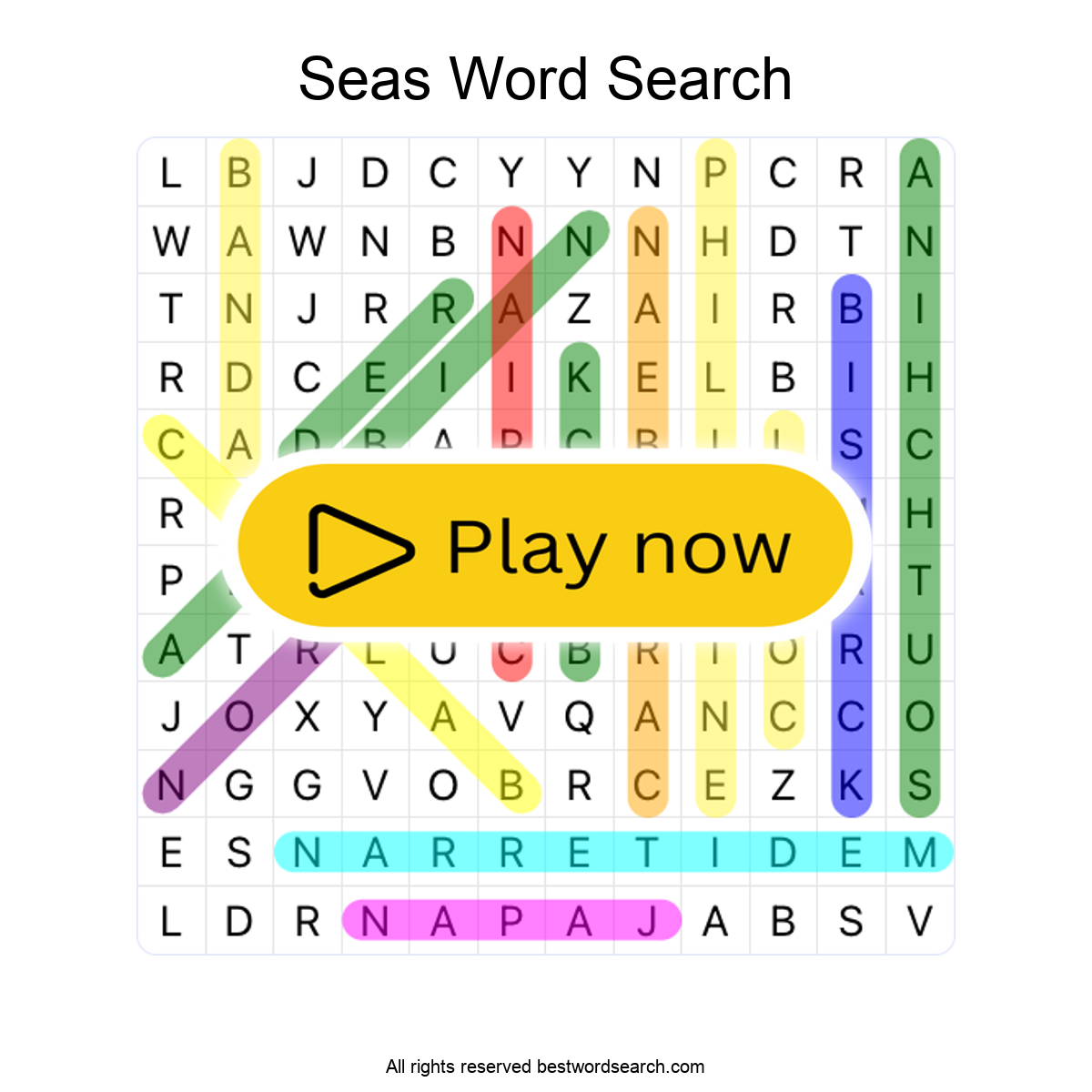 Seas | Geography Word Search