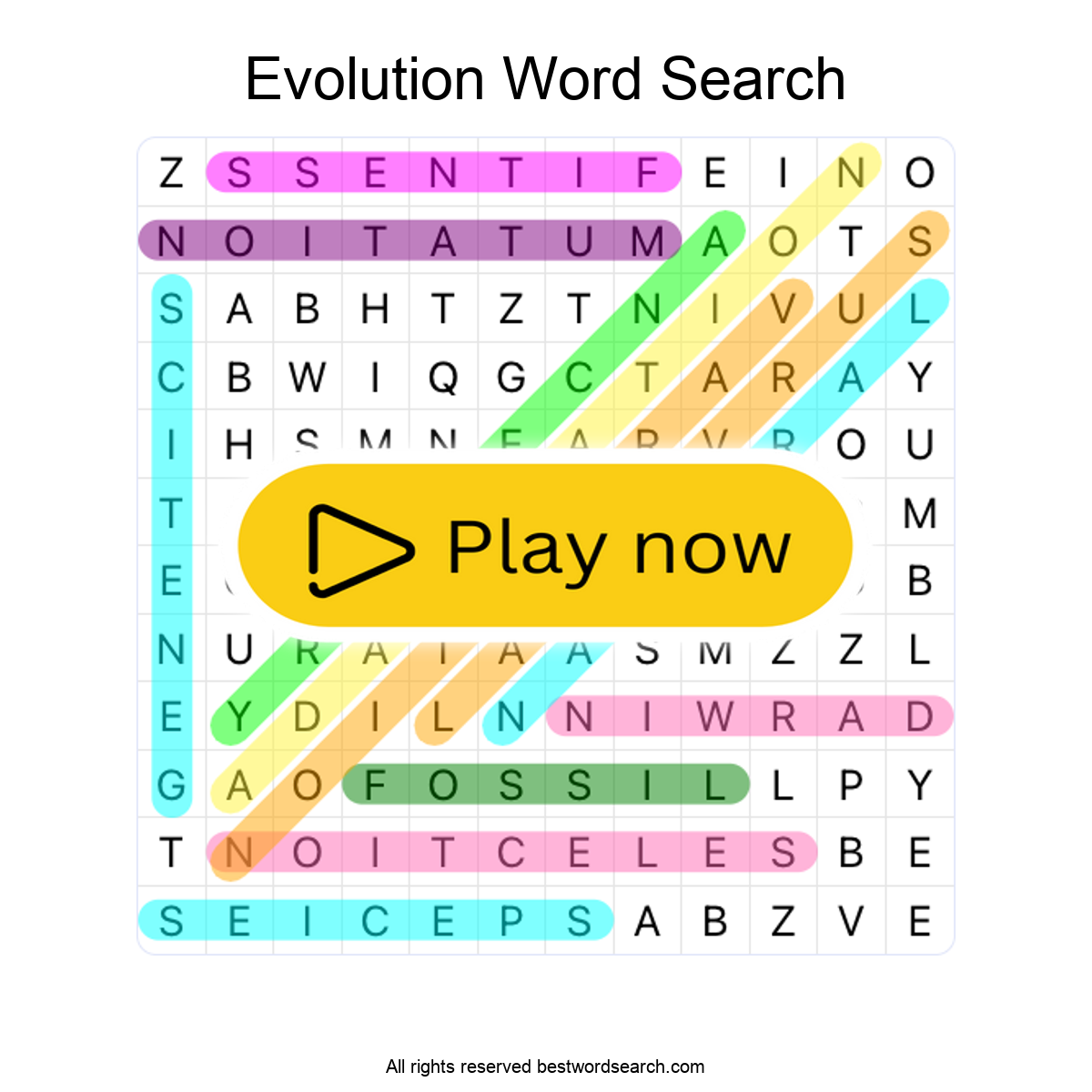 Evolution | Science Word Search